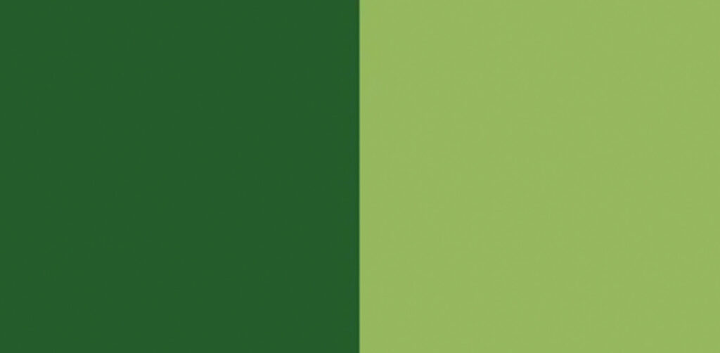 El contraste de color en el diseño gráfico